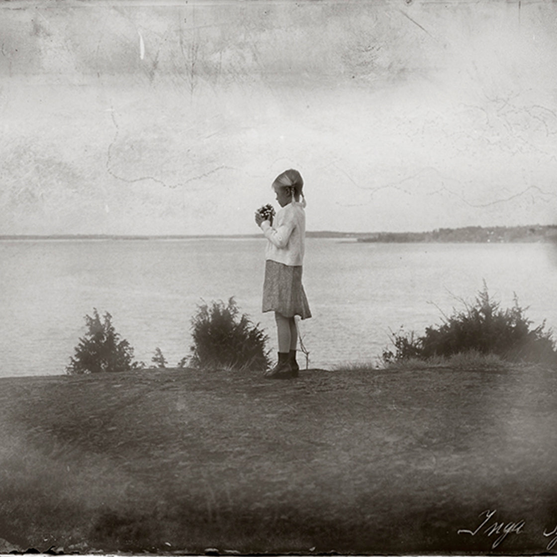Inga Olsson Collection – LINKIMAGE